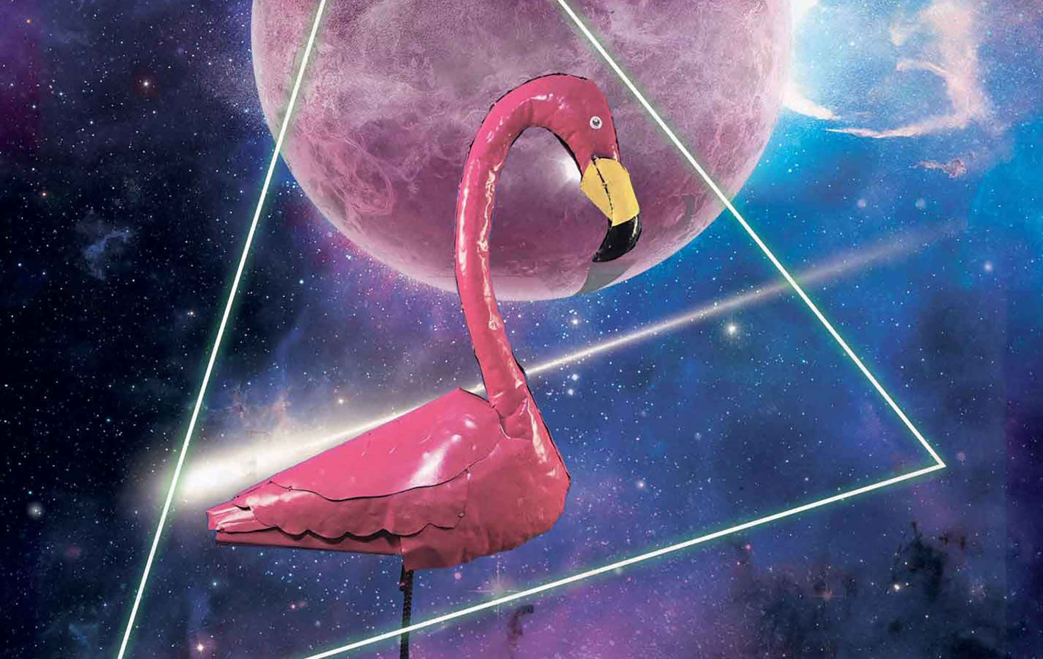Casting Calls - Flamingos From Space